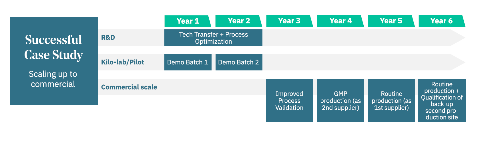 Custom GMP Polymers - Pharma